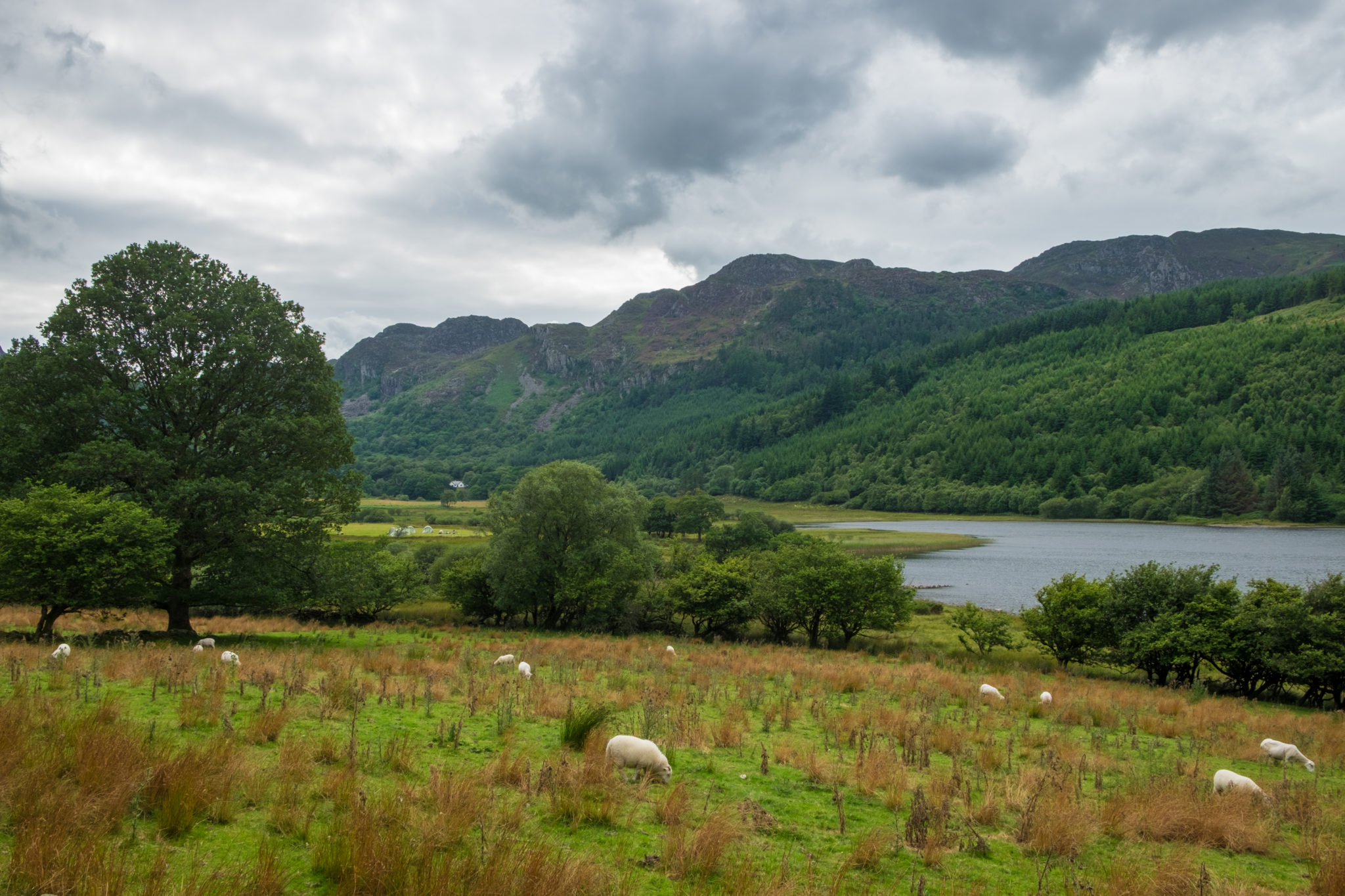 Exploring the Welsh Countryside and Snowdonia National Park ...
